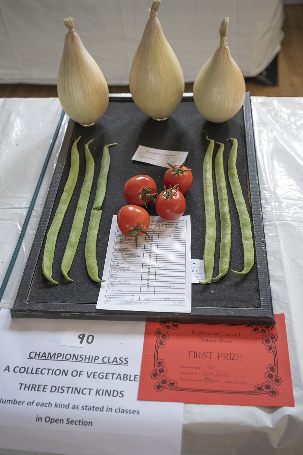 Talybont-on-Usk Village Show – 23rd August 2025 – Henderson Hall @ 12:30